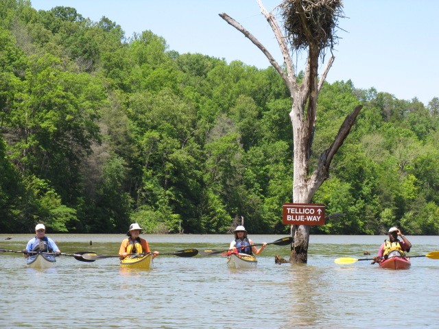 Tellico Blueway | Tennessee River Valley