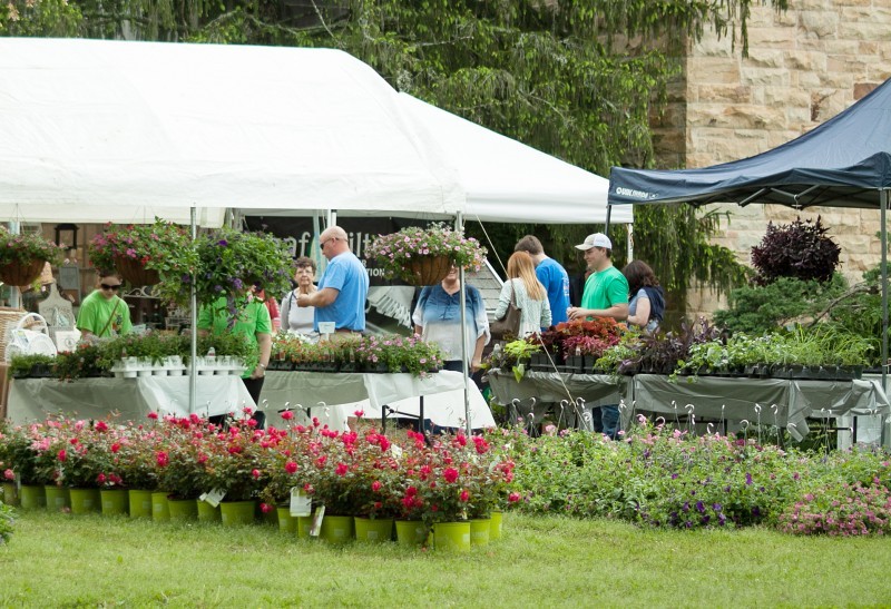 Bloomin' Festival | Tennessee River Valley