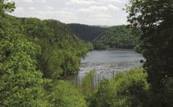 Cherokee National Forest | Tennessee River Valley