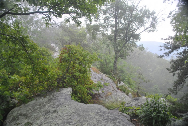 Dug Gap Battle Park | Tennessee River Valley