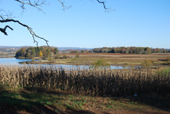 Hiwassee Refuge | Tennessee River Valley