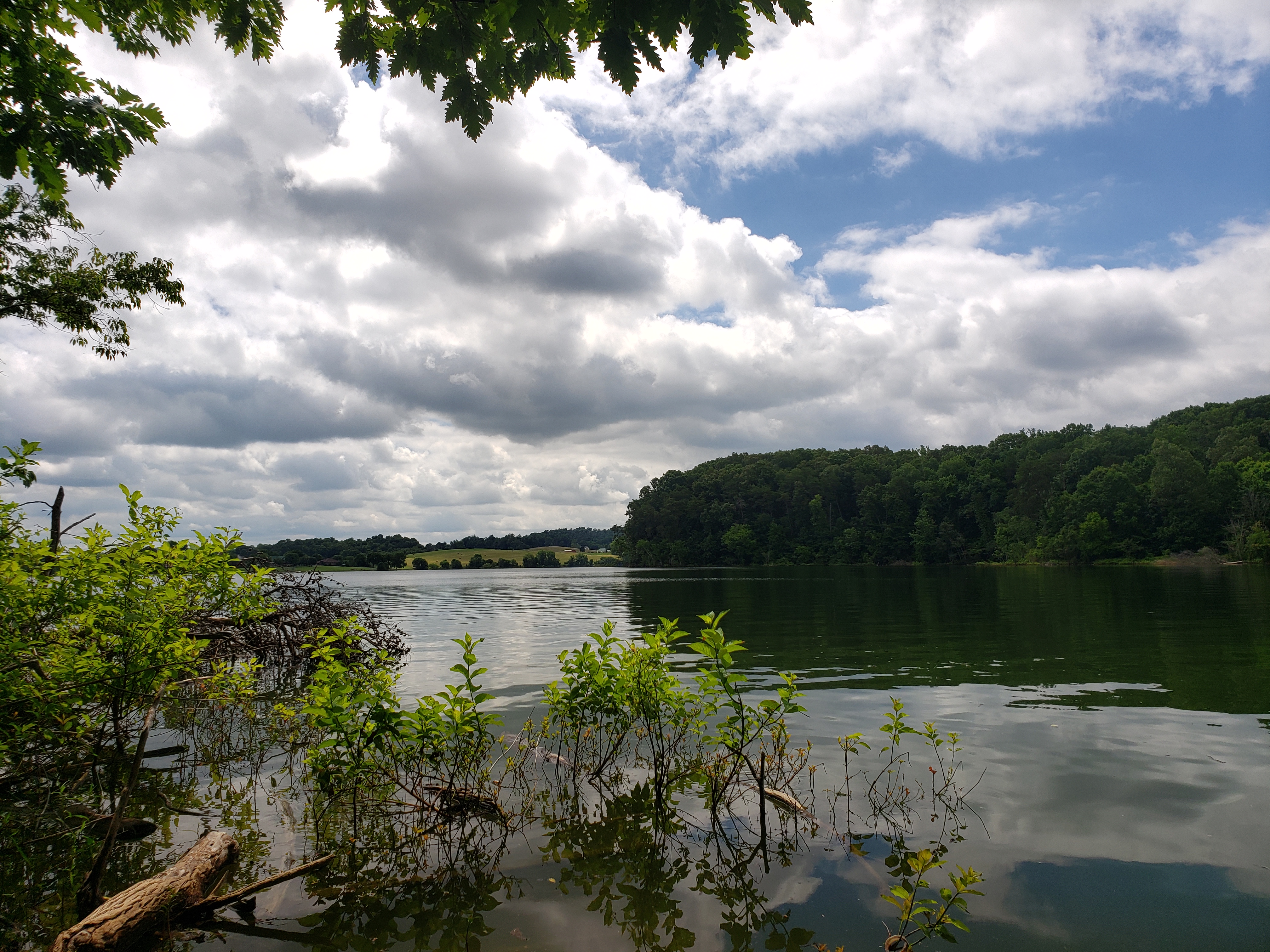 Johnson Ridge Small Wild Area and Trail | Tennessee River Valley