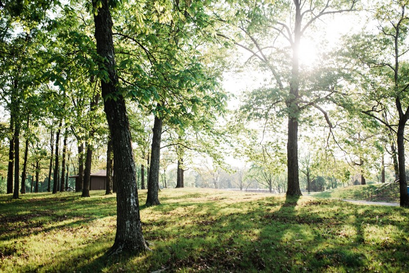 Paris Landing State Park | Tennessee River Valley