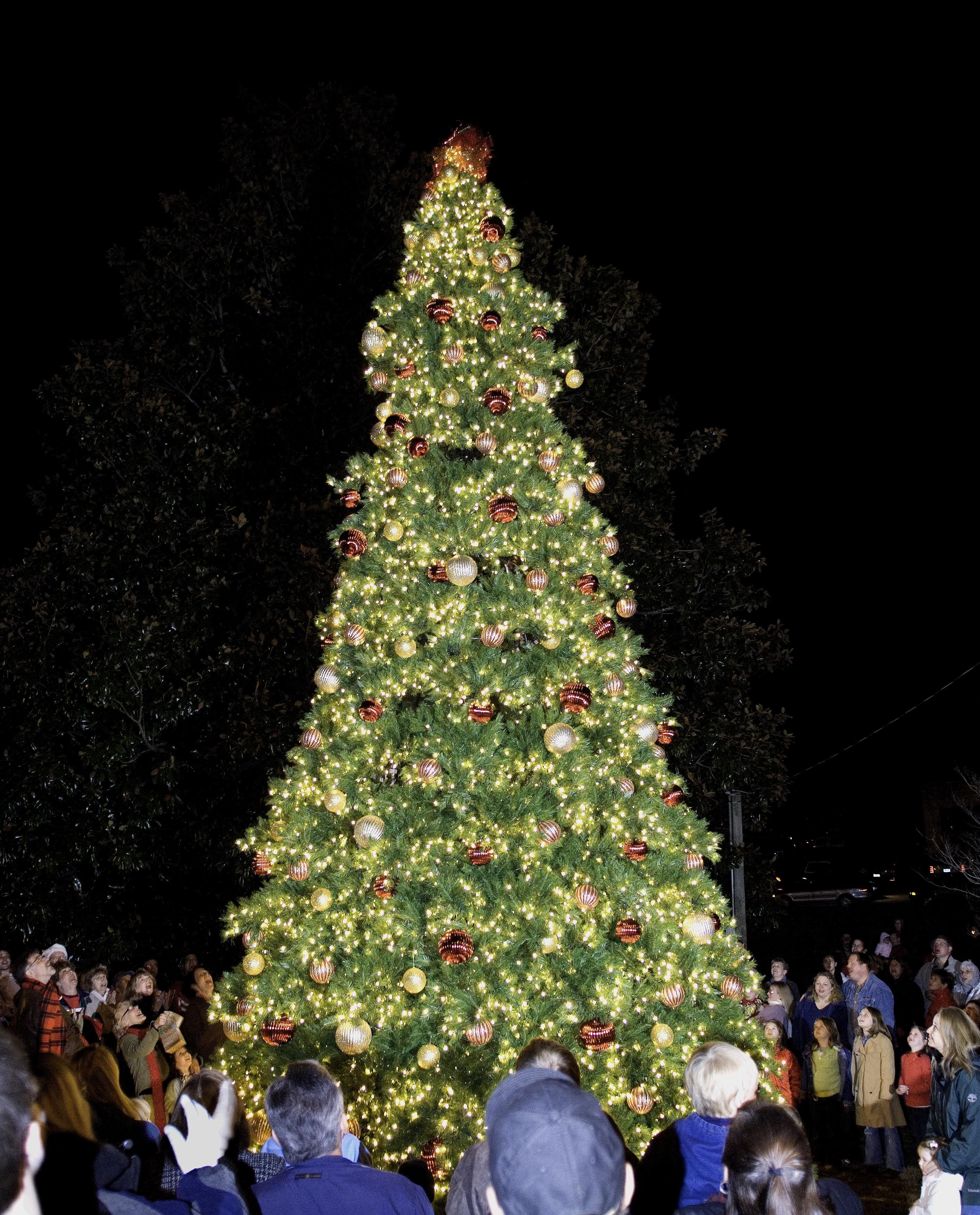 Blue Friday and Light Up Blue Ridge GA | Tennessee River Valley