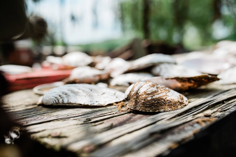 Tennessee Freshwater Pearl Farm and Museum | Tennessee River Valley