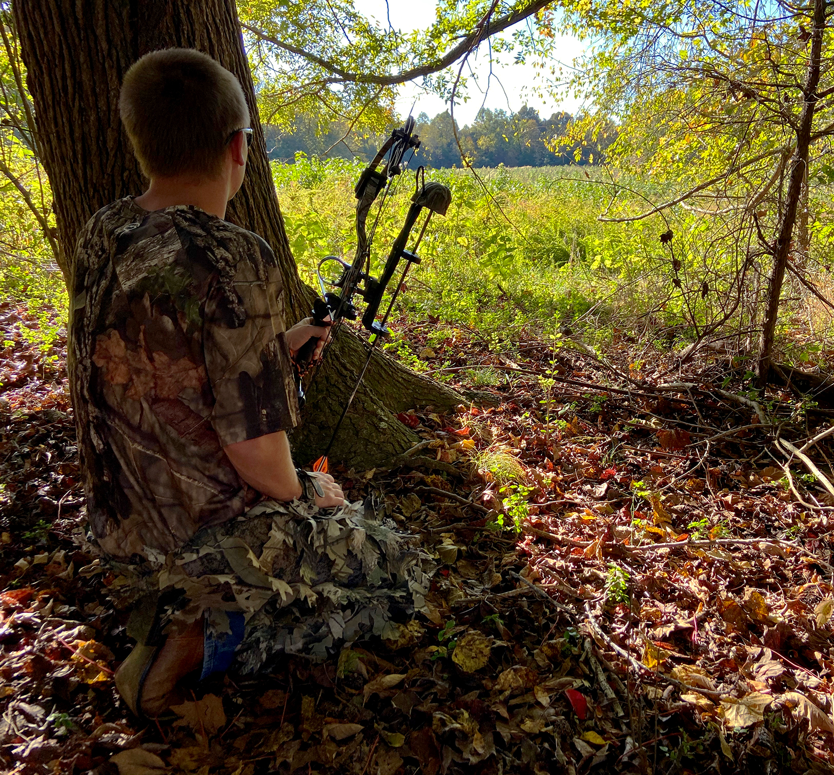 Tim's Ford State Park: Picturesque Park Offers Sportsman Abundant ...