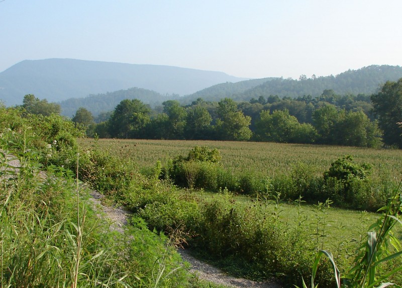 Reliance Historic District | Tennessee River Valley
