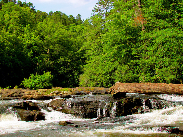 Chattahoochee Oconee Forest | Tennessee River Valley