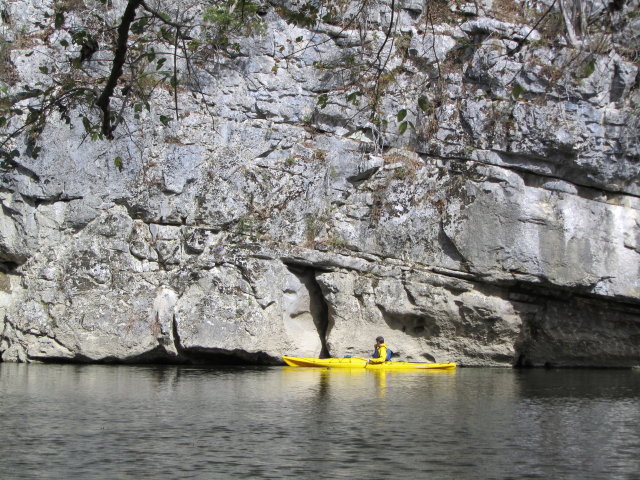 Powell River Kayak & Canoe Regatta | Tennessee River Valley