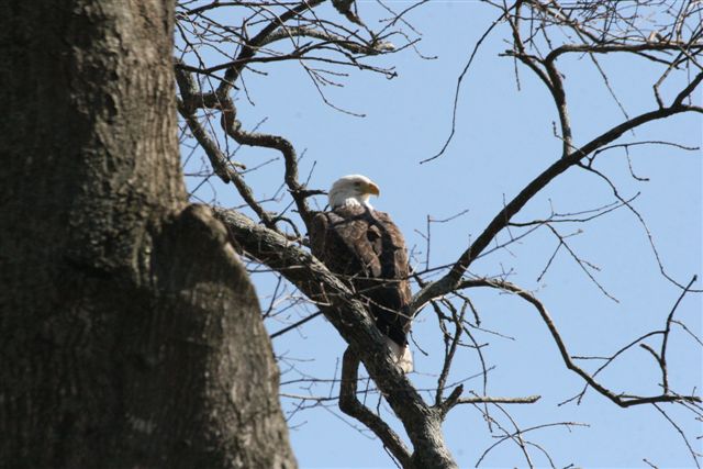 Cherokee Removal Memorial Park at Historic Blythe Ferry | Tennessee ...