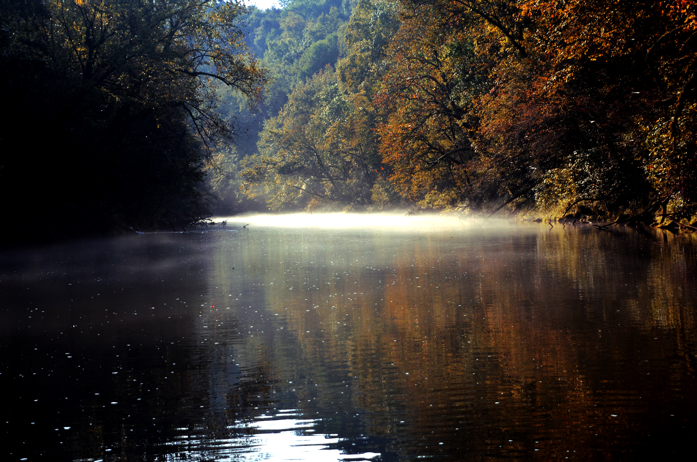Drifting the Elk River: Flyfishing in Middle Tennessee | Tennessee ...