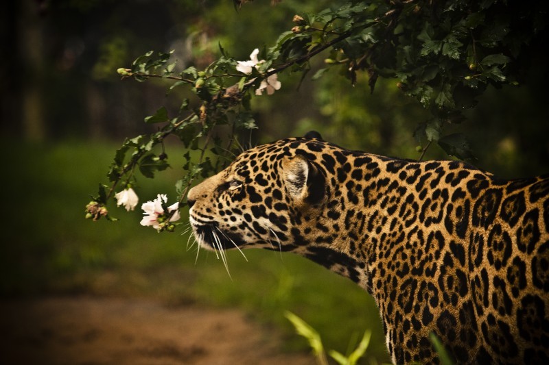 Chattanooga Zoo | Tennessee River Valley