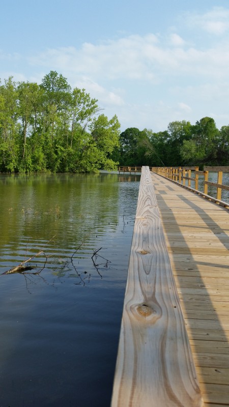 Marbut Bend Trail | Tennessee River Valley